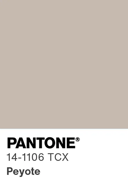 PANTONE 14-1106 TCX Peyote - Pantone色号库|Pantone潘通中国官网
