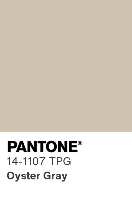 PANTONE 14-1107 TPG Oyster Gray - Pantone色号库|Pantone潘通中国官网