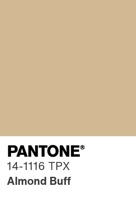 PANTONE 14-1116 TPG Almond Buff - Pantone色号库|Pantone潘通中国官网