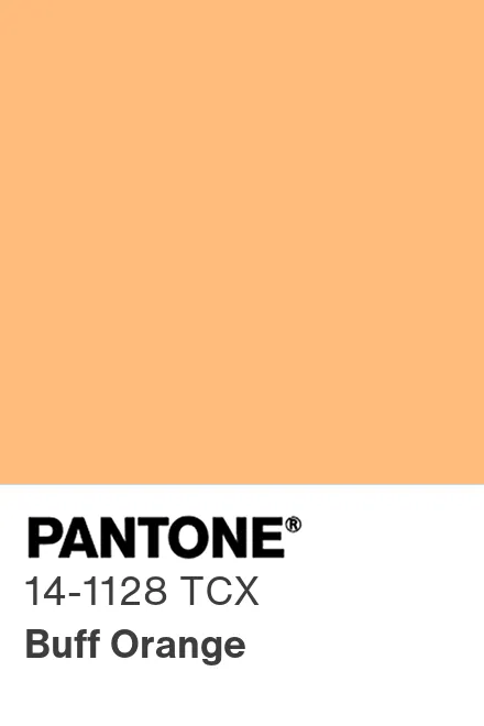 PANTONE 14-1128 TCX Buff Orange - Pantone色号库|Pantone潘通中国官网
