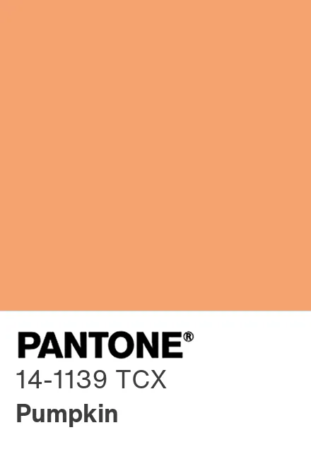 PANTONE 14-1139 TCX Pumpkin - Pantone色号库|Pantone潘通中国官网