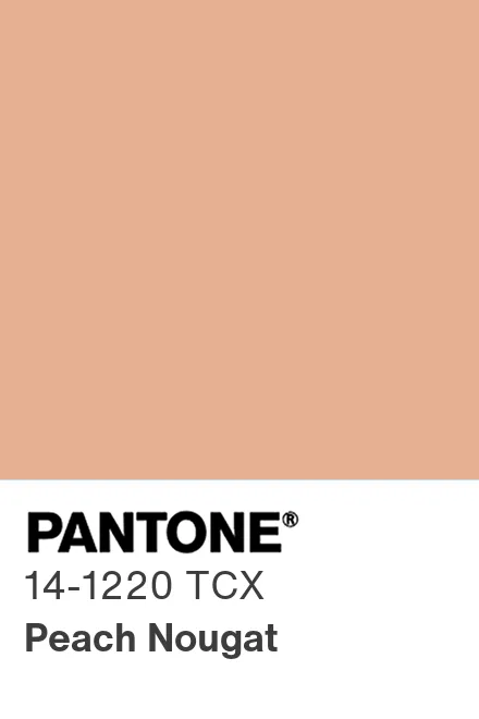 PANTONE 14-1220 TCX Peach Nougat - Pantone色号库|Pantone潘通中国官网