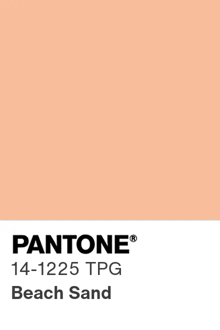 PANTONE 14-1225 TPG Beach Sand - Pantone色号库|Pantone潘通中国官网