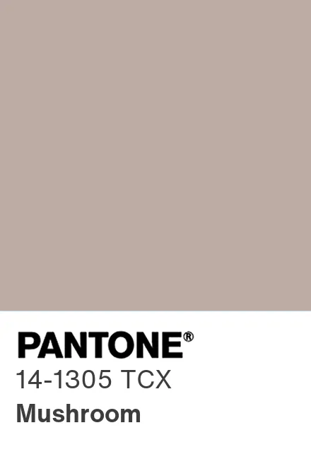 PANTONE 14-1305 TCX Mushroom - Pantone色号库|Pantone潘通中国官网