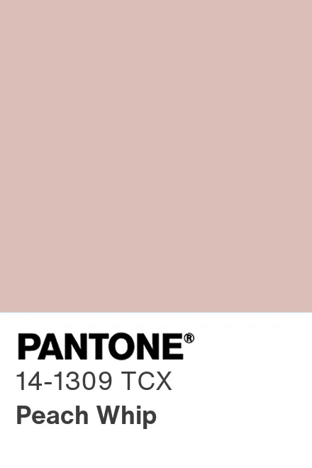 PANTONE 14-1309 TCX Peach Whip - Pantone色号库|Pantone潘通中国官网