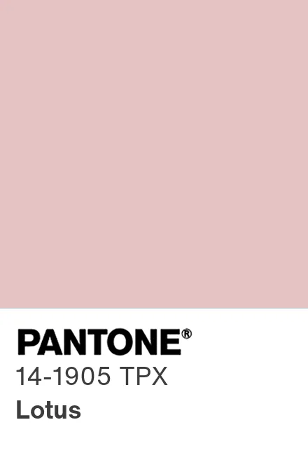 PANTONE 14-1905 TPG Lotus - Pantone色号库|Pantone潘通中国官网