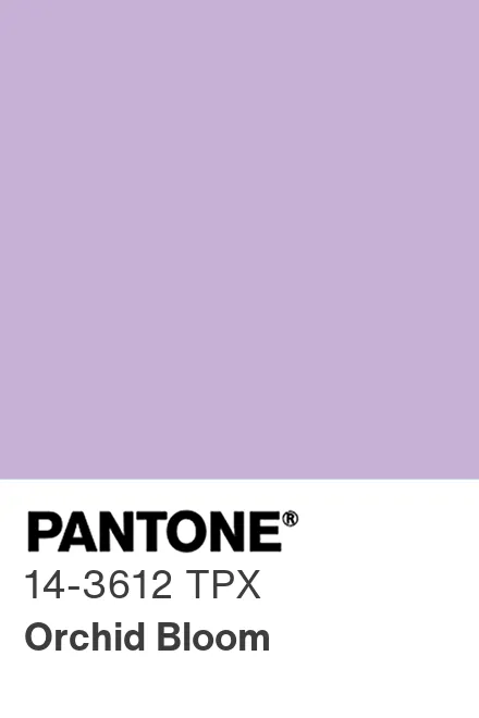 PANTONE 14-3612 TPG Orchid Bloom - Pantone色号库|Pantone潘通中国官网