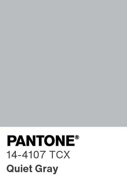PANTONE 14-4107 TCX Quiet Gray - Pantone色号库|Pantone潘通中国官网