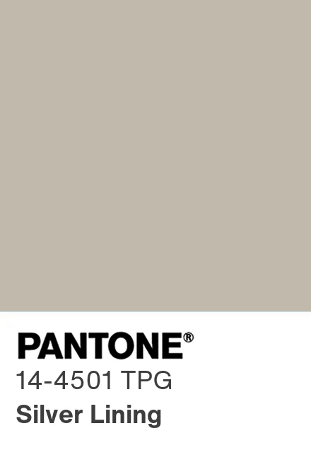 PANTONE 14-4501 TPG Silver Lining - Pantone色号库|Pantone潘通中国官网