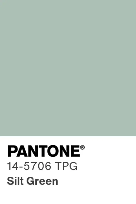 PANTONE 14-5706 TPG Silt Green - Pantone色号库|Pantone潘通中国官网