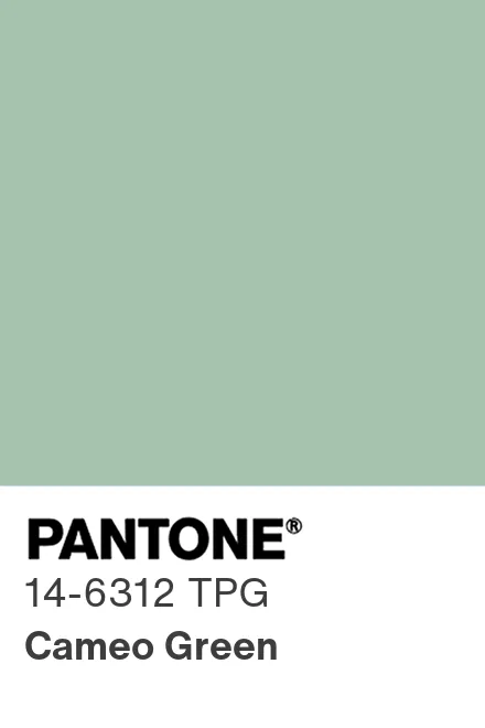 PANTONE 14-6312 TPG Cameo Green - Pantone色号库|Pantone潘通中国官网