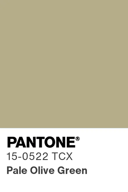 PANTONE 15-0522 TCX Pale Olive Green - Pantone色号库|Pantone潘通中国官网