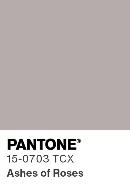PANTONE 15-0703 TCX Ashes of Roses - Pantone色号库|Pantone潘通中国官网