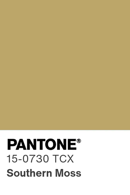 PANTONE 15-0730 TCX Southern Moss - Pantone色号库|Pantone潘通中国官网