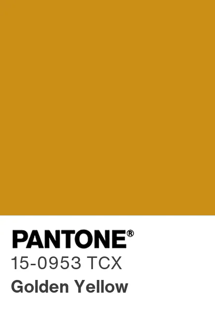 PANTONE 15-0953 TCX Golden Yellow - Pantone色号库|Pantone潘通中国官网