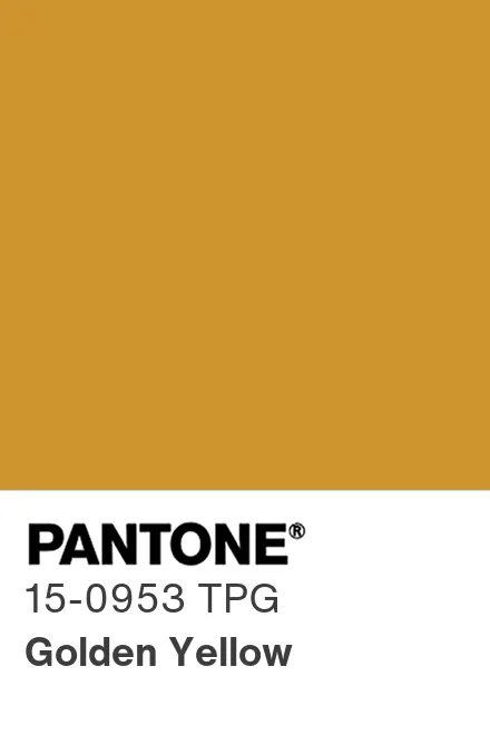 PANTONE 15-0953 TPG Golden Yellow - Pantone色号库|Pantone潘通中国官网