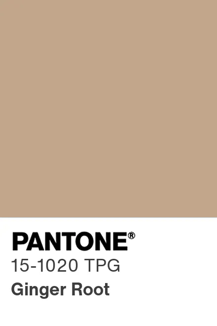 PANTONE 15-1020 TPG Ginger Root - Pantone色号库|Pantone潘通中国官网