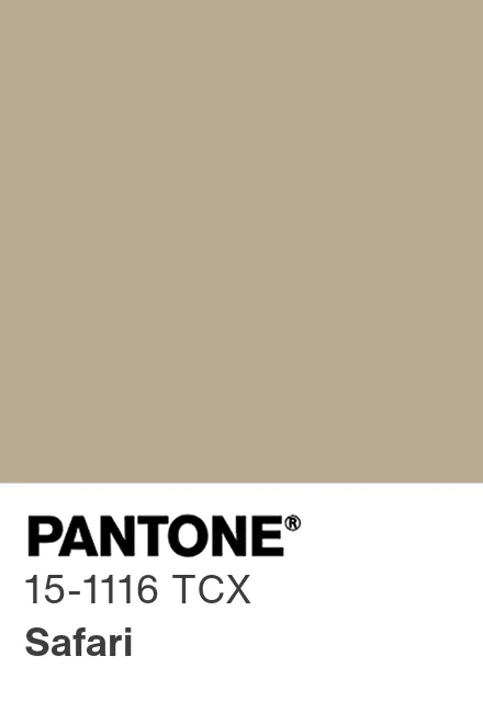 PANTONE 15-1116 TCX Safari - Pantone色号库|Pantone潘通中国官网