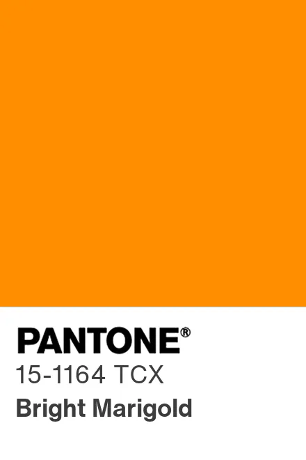 PANTONE 15-1164 TCX Bright Marigold - Pantone色号库|Pantone潘通中国官网