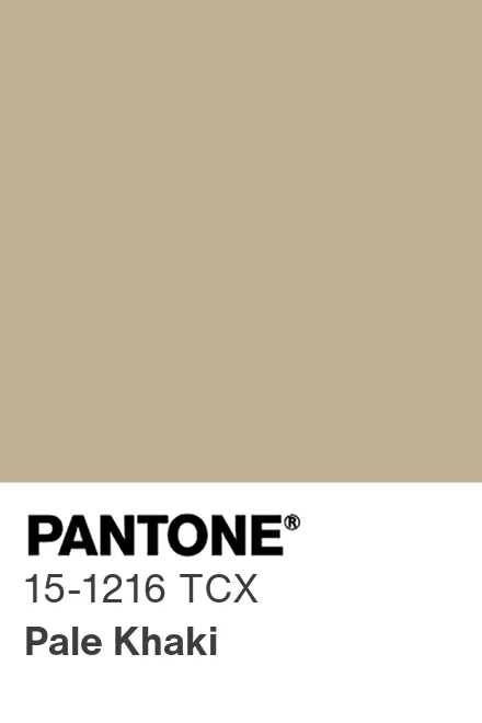 PANTONE 15-1216 TCX Pale Khaki - Pantone色号库|Pantone潘通中国官网