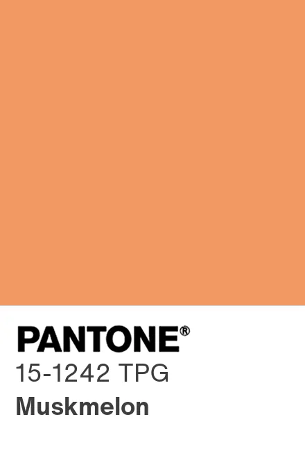 PANTONE 15-1242 TPG Muskmelon - Pantone色号库|Pantone潘通中国官网