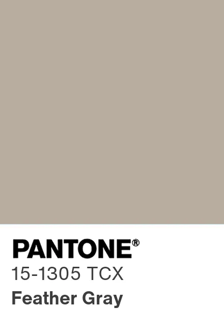 PANTONE 15-1305 TCX Feather Gray - Pantone色号库|Pantone潘通中国官网