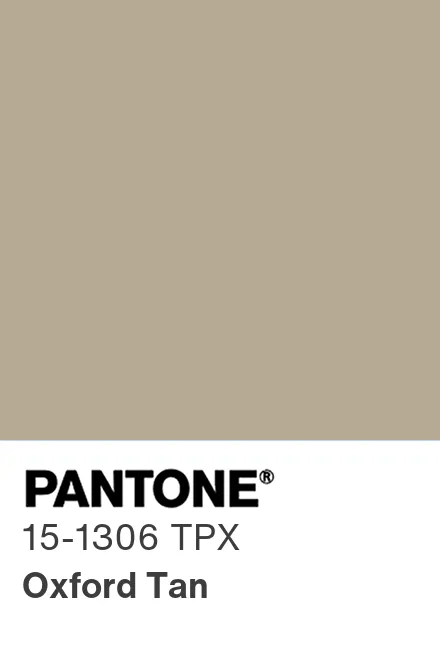 PANTONE 15-1306 TPG Oxford Tan - Pantone色号库|Pantone潘通中国官网