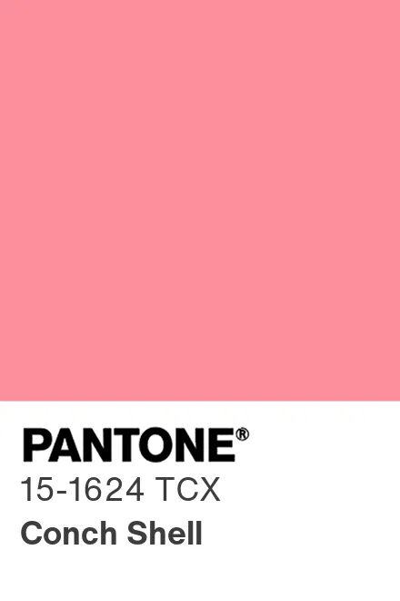 PANTONE 15-1624 TCX Conch Shell - Pantone色号库|Pantone潘通中国官网
