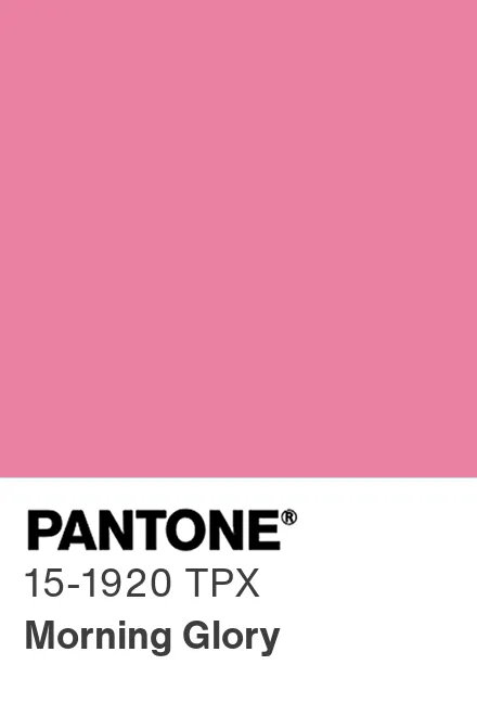 PANTONE 15-1920 TPG Morning Glory - Pantone色号库|Pantone潘通中国官网