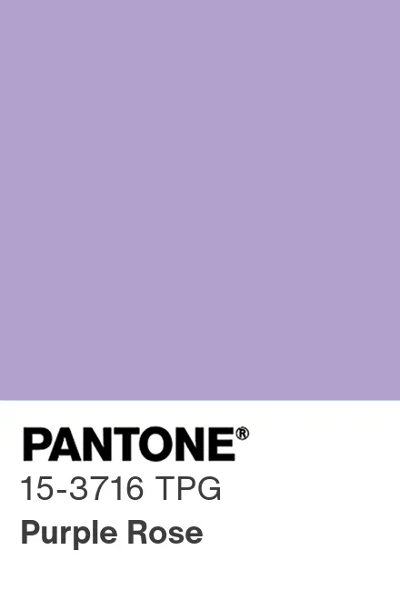 PANTONE 15-3716 TPG Purple Rose - Pantone色号库|Pantone潘通中国官网