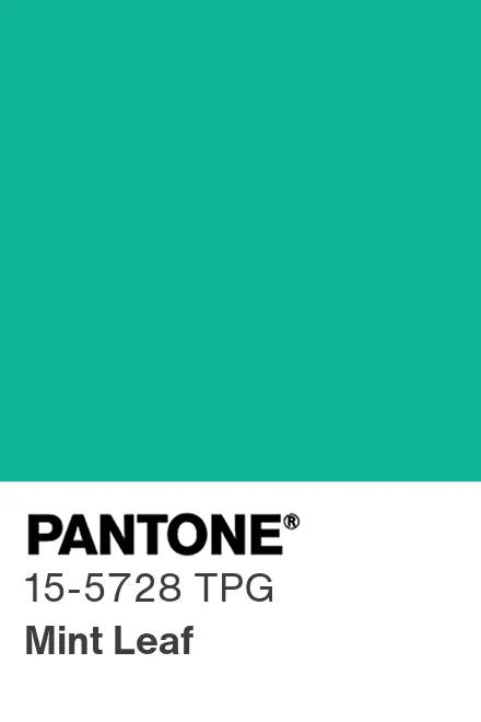 PANTONE 15-5728 TPG Mint Leaf - Pantone色号库|Pantone潘通中国官网