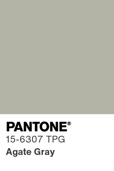PANTONE 15-6307 TPG Agate Gray - Pantone色号库|Pantone潘通中国官网