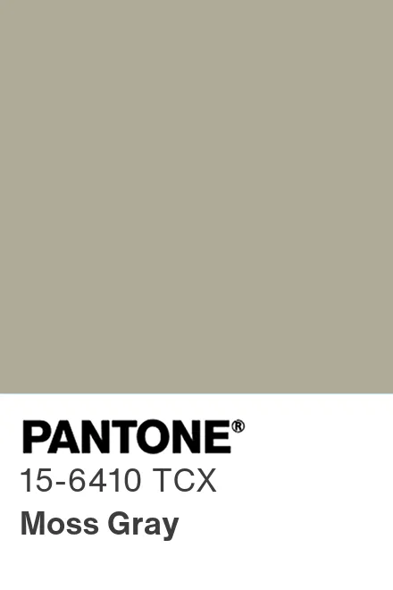 PANTONE 15-6410 TCX Moss Gray - Pantone色号库|Pantone潘通中国官网