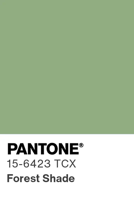 PANTONE 15-6423 TCX Forest Shade - Pantone色号库|Pantone潘通中国官网