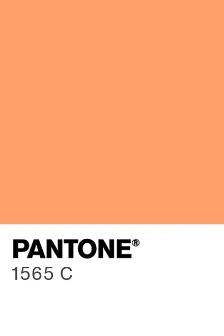 PANTONE 1565 C - Pantone色号库|Pantone潘通中国官网 PANTONE 1565 C - Pantone色号库|Pantone潘通中国官网
