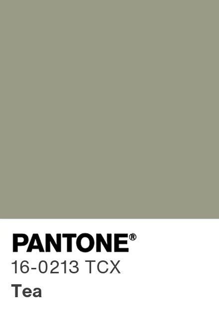 PANTONE 16-0213 TCX Tea - Pantone色号库|Pantone潘通中国官网