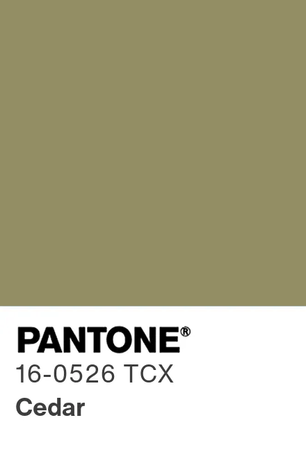 PANTONE 16-0526 TCX Cedar - Pantone色号库|Pantone潘通中国官网