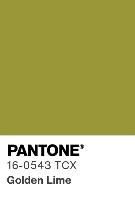 PANTONE 16-0543 TCX Golden Lime - Pantone色号库|Pantone潘通中国官网 PANTONE 16-0543 TCX Golden Lime - Pantone色号库|Pantone潘通中国官网
