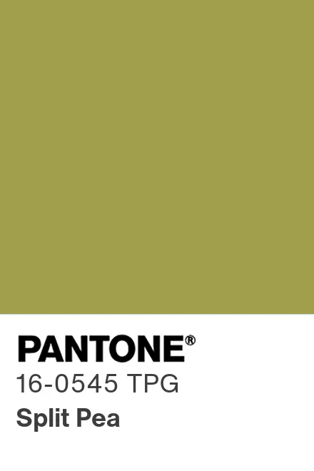 PANTONE 16-0545 TPG Split Pea - Pantone色号库|Pantone潘通中国官网