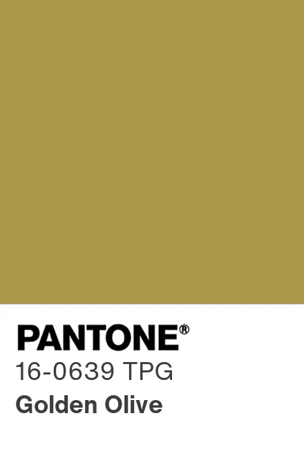 PANTONE 16-0639 TPG Golden Olive - Pantone色号库|Pantone潘通中国官网