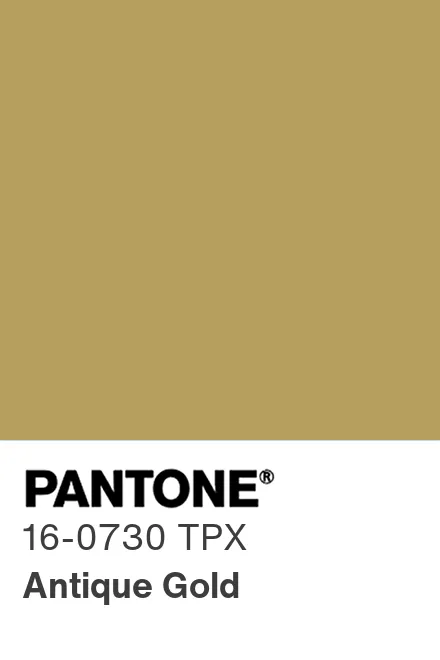 PANTONE 16-0730 TPG Antique Gold - Pantone色号库|Pantone潘通中国官网
