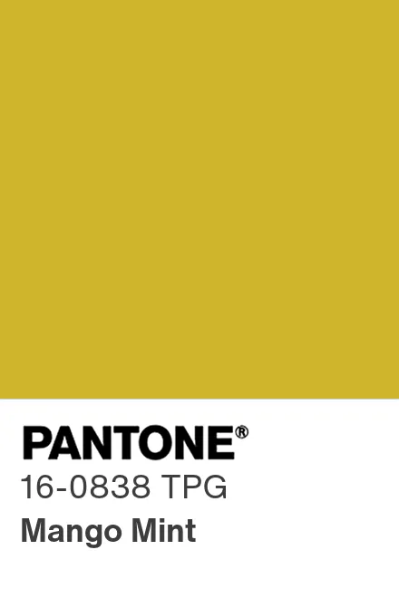 PANTONE 16-0838 TPG Mango Mint - Pantone色号库|Pantone潘通中国官网