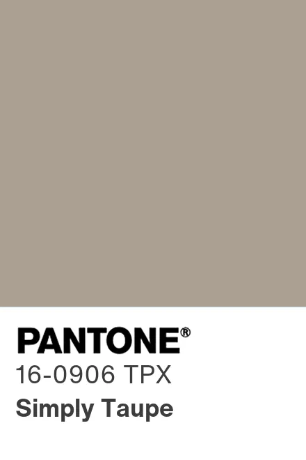 PANTONE 16-0906 TPG Simply Taupe - Pantone色号库|Pantone潘通中国官网