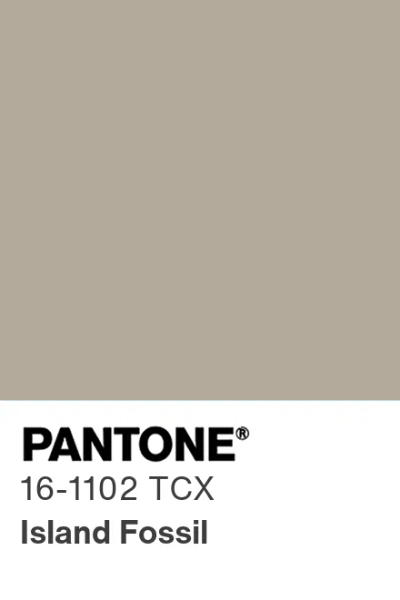 PANTONE 16-1102 TCX Island Fossil - Pantone色号库|Pantone潘通中国官网