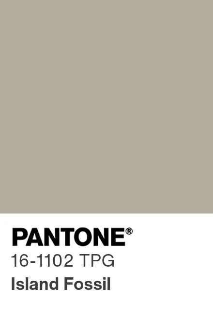 PANTONE 16-1102 TPG Island Fossil - Pantone色号库|Pantone潘通中国官网