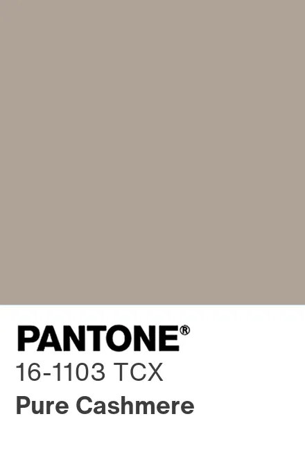 PANTONE 16-1103 TCX Pure Cashmere - Pantone色号库|Pantone潘通中国官网