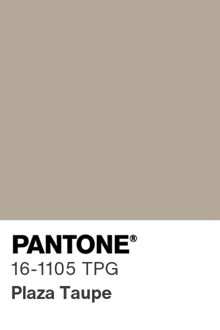 PANTONE 16-1105 TPG Plaza Taupe - Pantone色号库|Pantone潘通中国官网