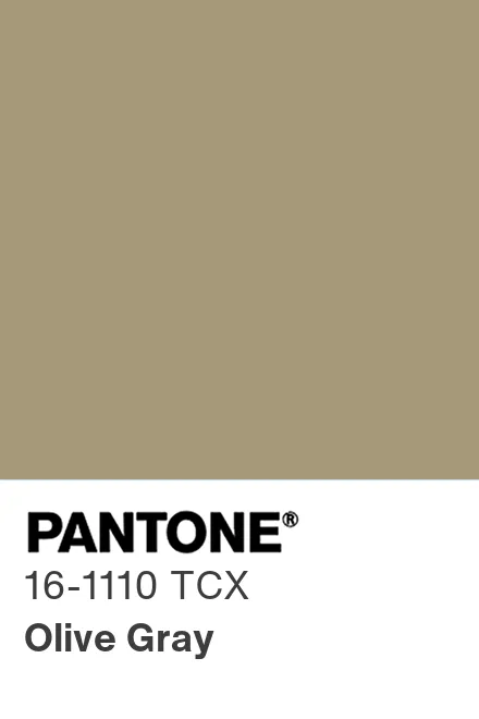 PANTONE 16-1110 TCX Olive Gray - Pantone色号库|Pantone潘通中国官网