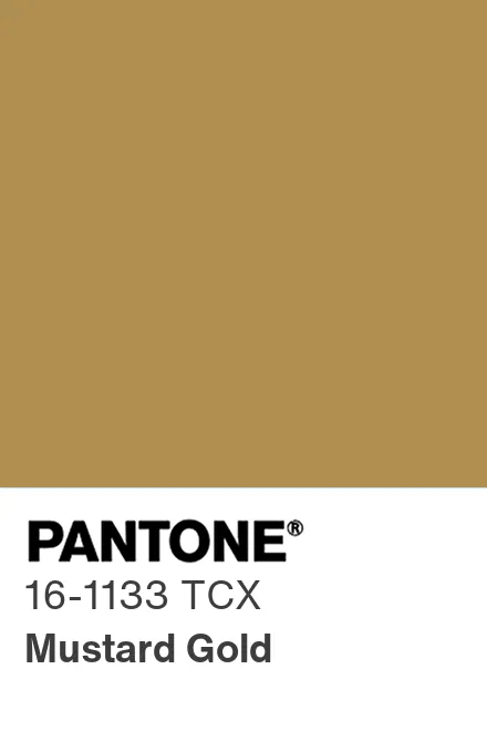 PANTONE 16-1133 TCX Mustard Gold - Pantone色号库|Pantone潘通中国官网