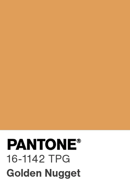 PANTONE 16-1142 TPG Golden Nugget - Pantone色号库|Pantone潘通中国官网